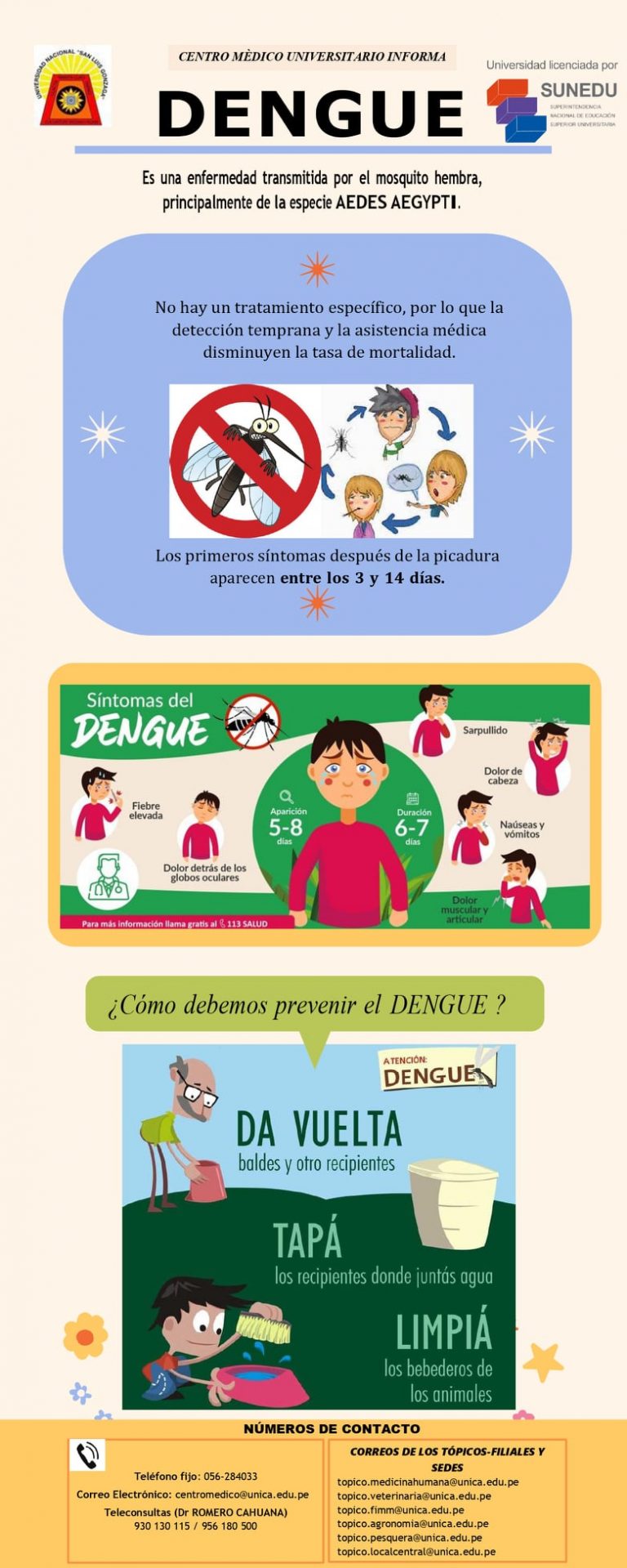 infografía del dengue – Noticias UNICA