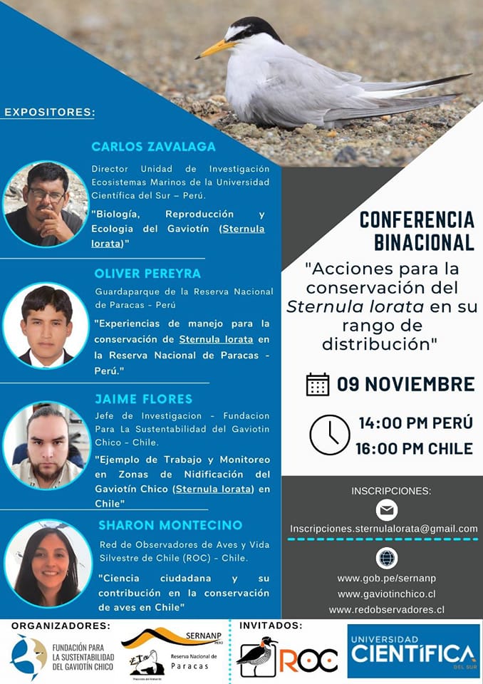Acciones para la conservación del Sternula lorata en su rango de ...